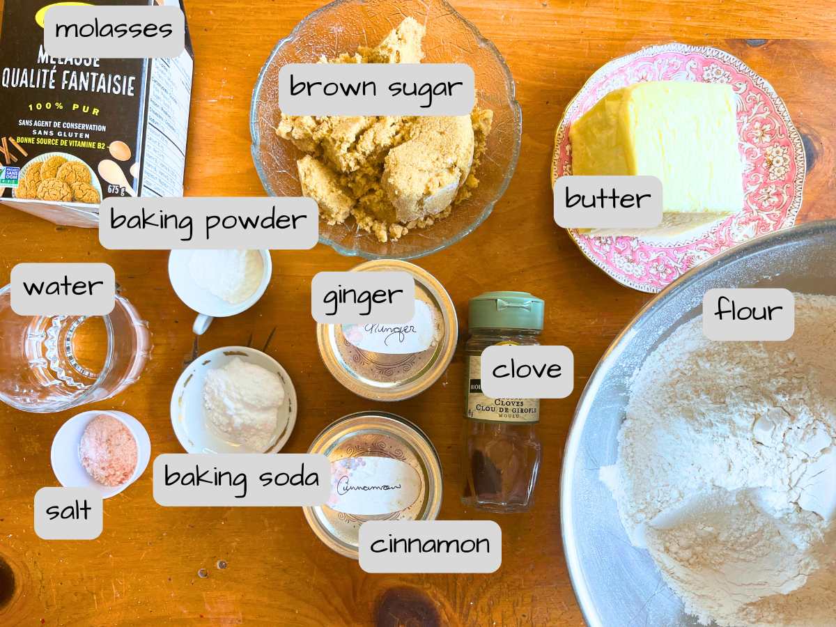 Classic Soft Gingerbread cut-outs to decorate - Flour and Filigree