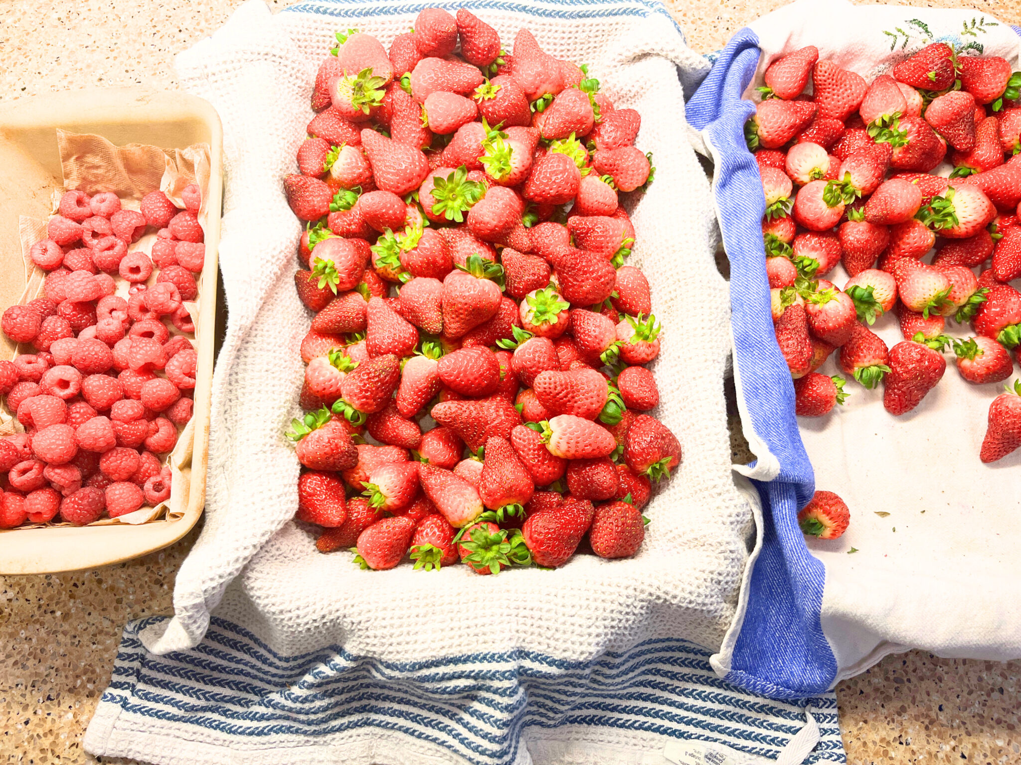 How to keep berries FRESH for weeks! - Flour and Filigree