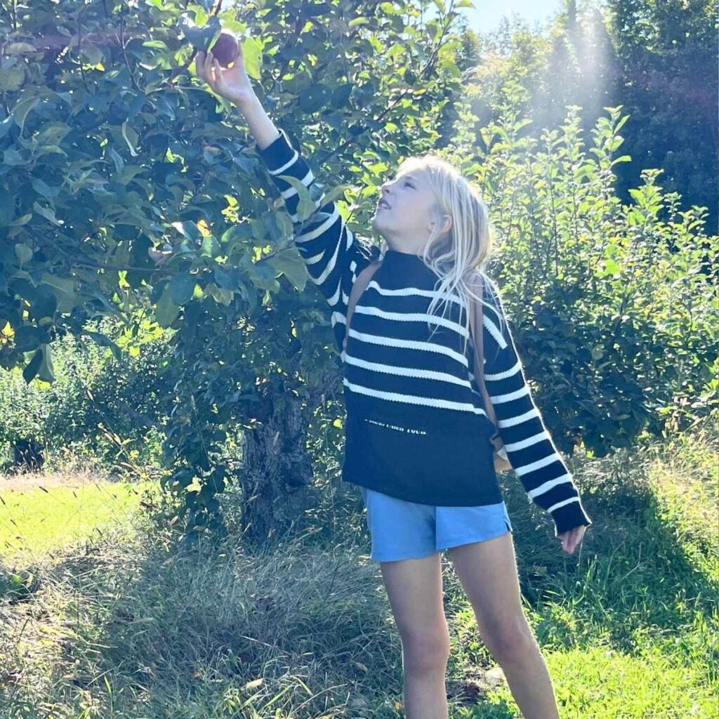 Traditional Fall Family Activities to Embrace Autumn - Flour and Filigree