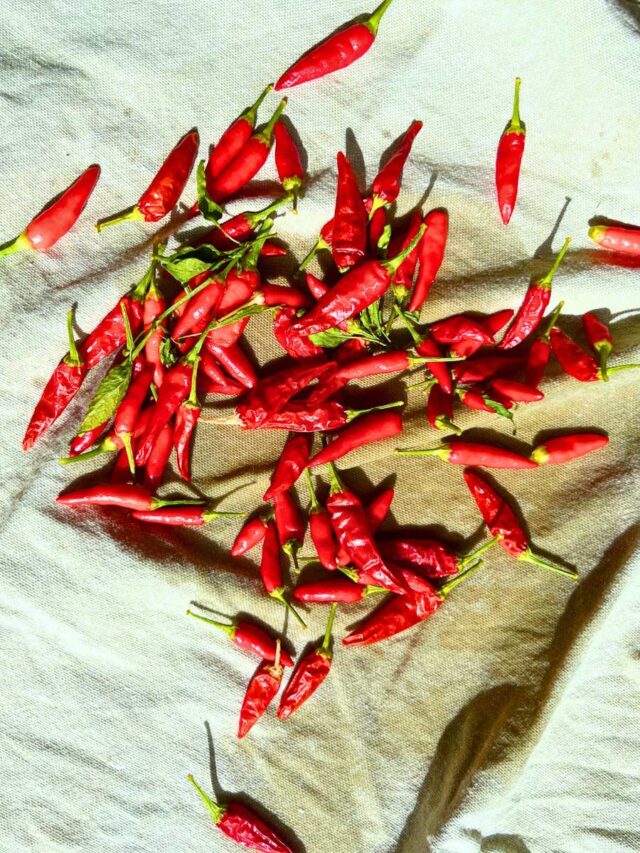 How to Make Homemade Chili Flakes: A Simple Step-by-Step Guide - Flour ...